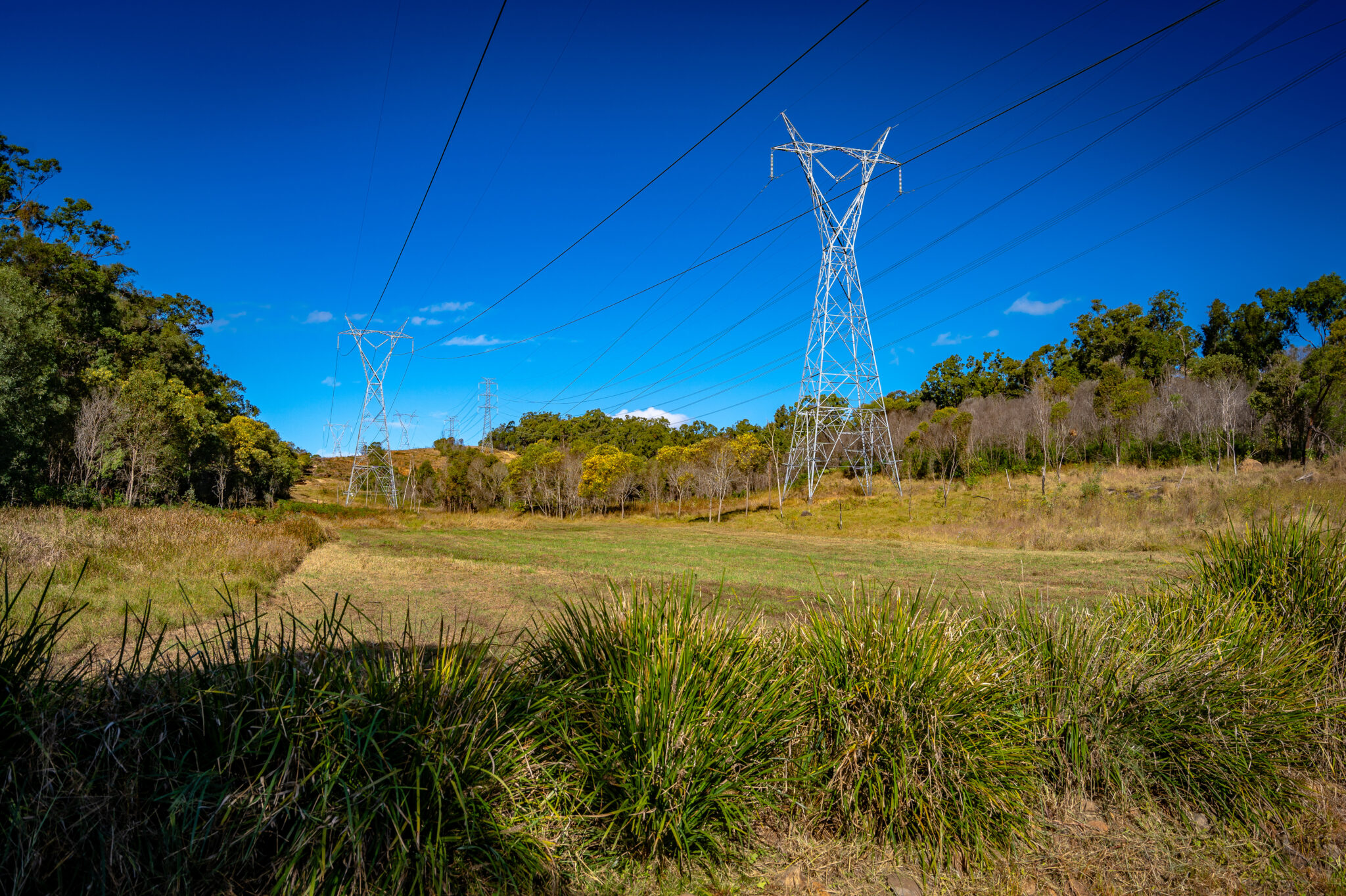 News and Media - Yurika